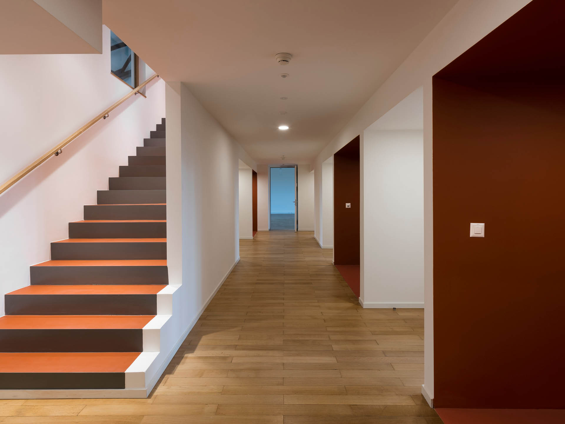 Workspaces of the Museum of Art and History - msv architectes